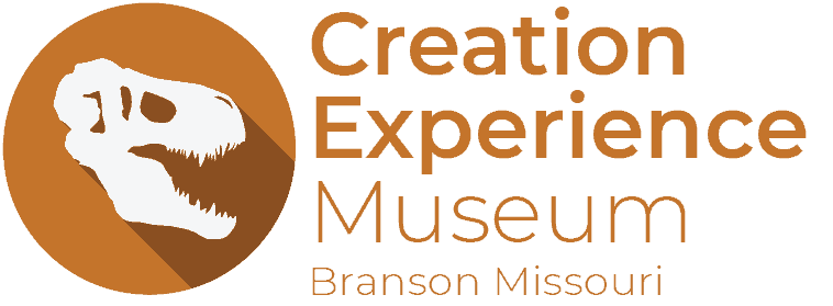 Free Tours for the Whole Family - Creation Experience Museum