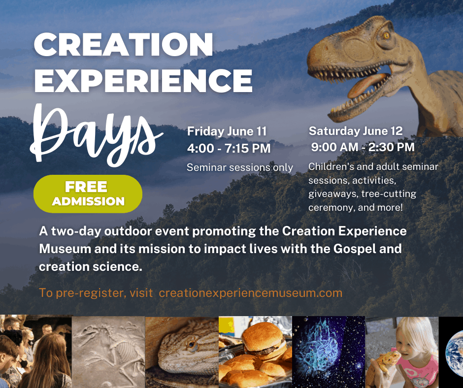Creation Experience Museum – Your Journey Begins Here