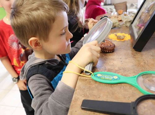 Creation Experience Museum – Your Journey Begins Here